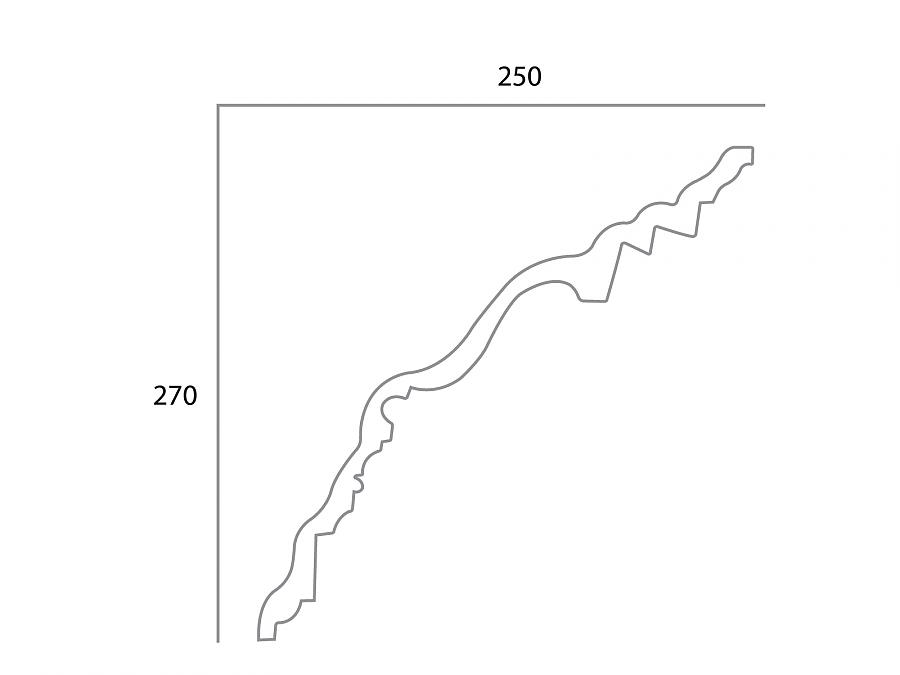 Dental Flower | Plaster Profiles